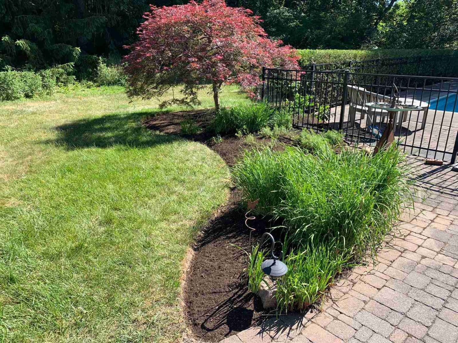 A Spring Clean Up Guide for Your Landscape