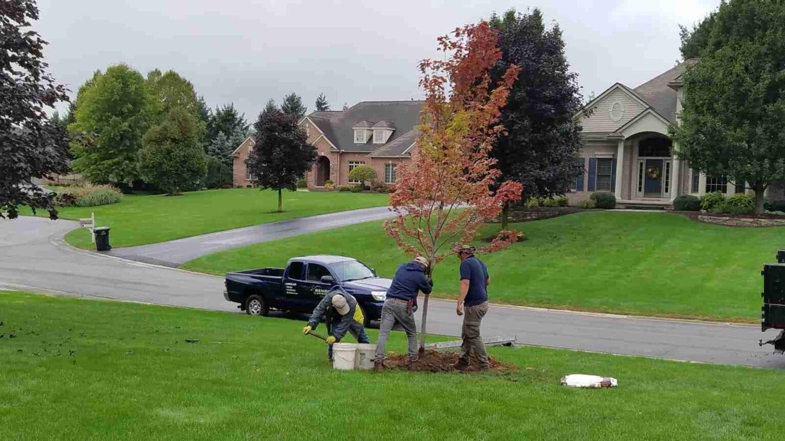 Autumn: The Best Time to Plant Trees