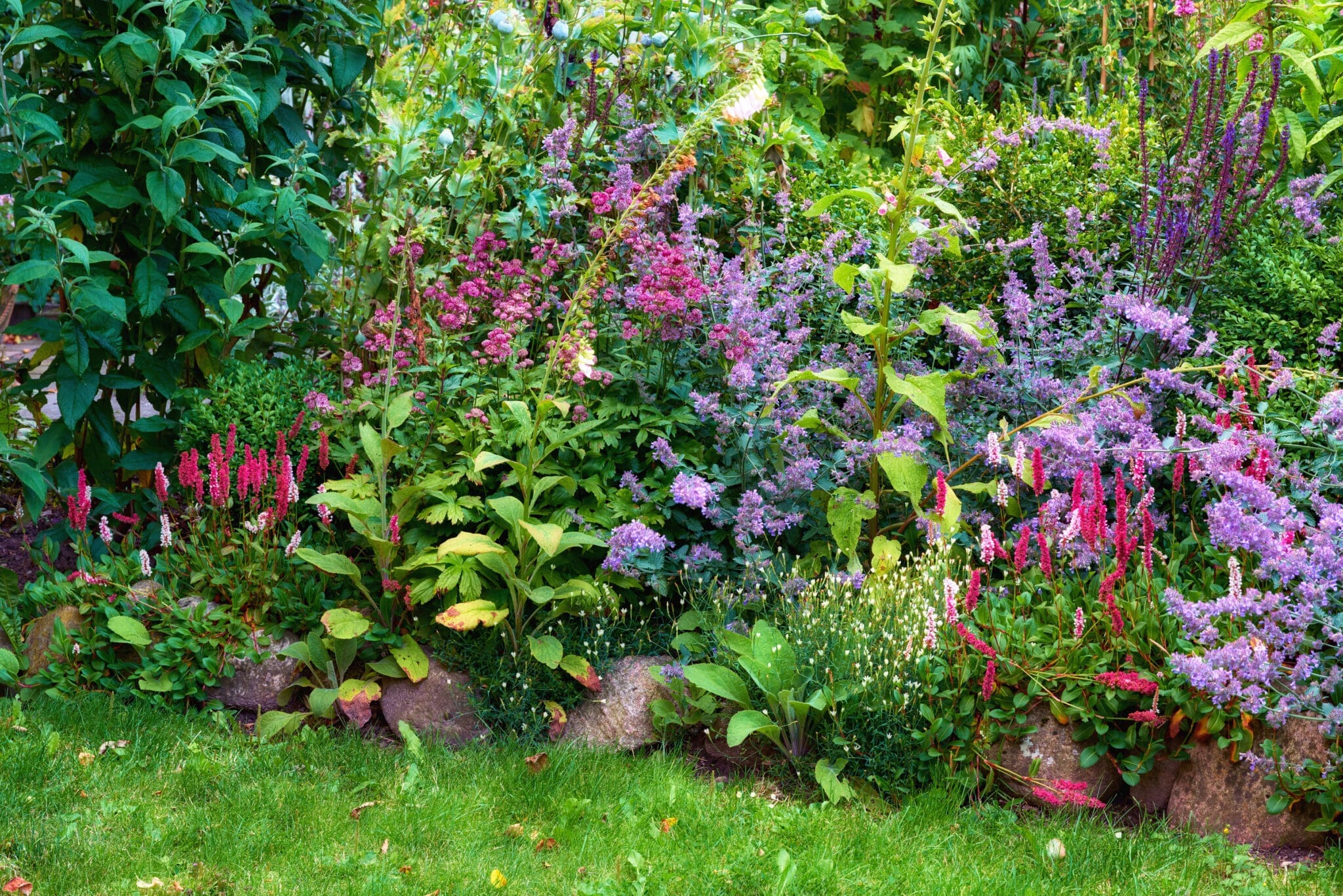 7 of Our Favorite May Flowering Plants and Shrubs